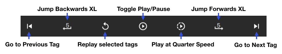 Using Video Playback Options on Focus Timeline – Catapult Pro Video